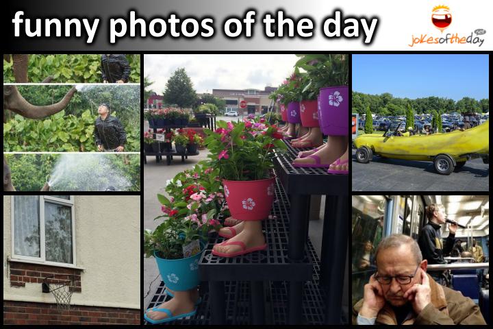 Funny photos - collection of funny photos of the day (516 to 520 ...