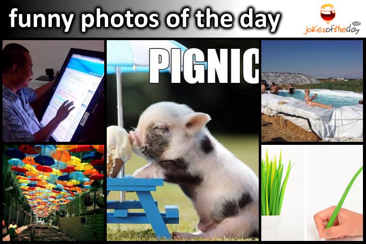 Funny photos - collection of funny photos of the day (1171 to 1175 ...