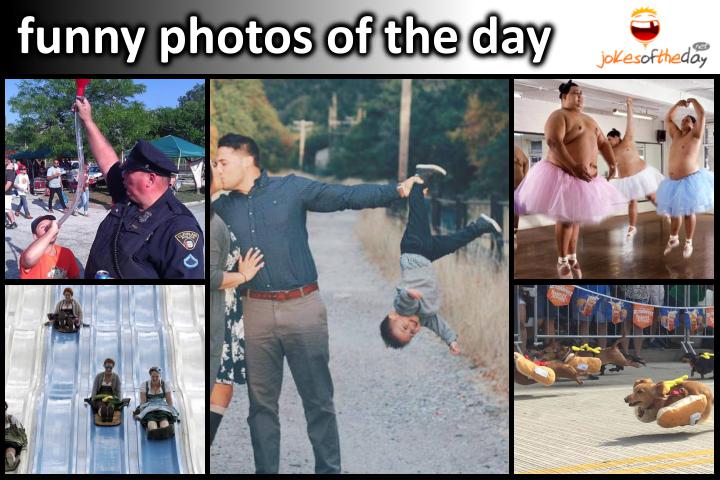 Funny photos - collection of funny photos of the day (151 to 155 ...