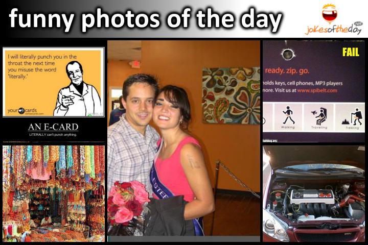 Funny photos - collection of funny photos of the day (1761 to 1765 ...