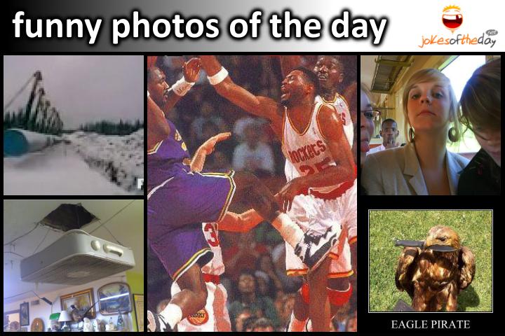 Funny photos - collection of funny photos of the day (2046 to 2050 ...