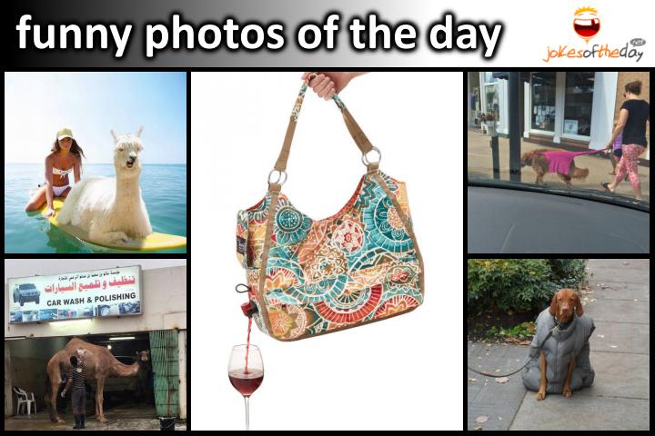 Funny photos - collection of funny photos of the day (221 to 225 ...