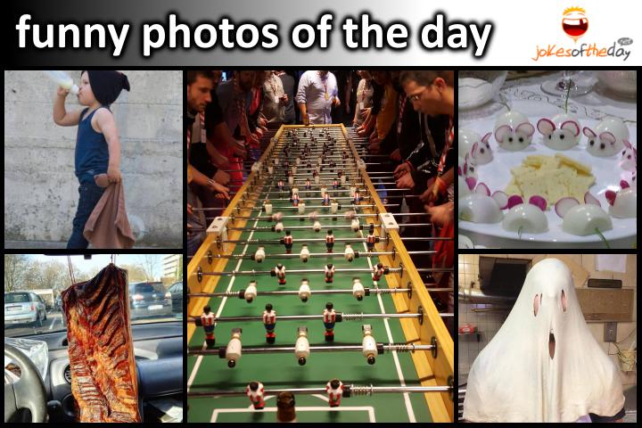 Funny photos - collection of funny photos of the day (341 to 345 ...