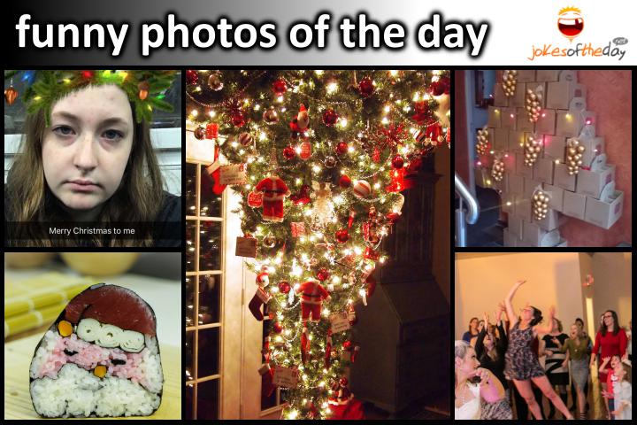 Funny photos - collection of funny photos of the day (361 to 365 ...