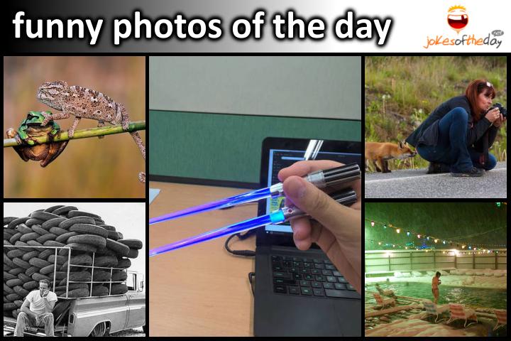 Funny photos - collection of funny photos of the day (381 to 385 ...