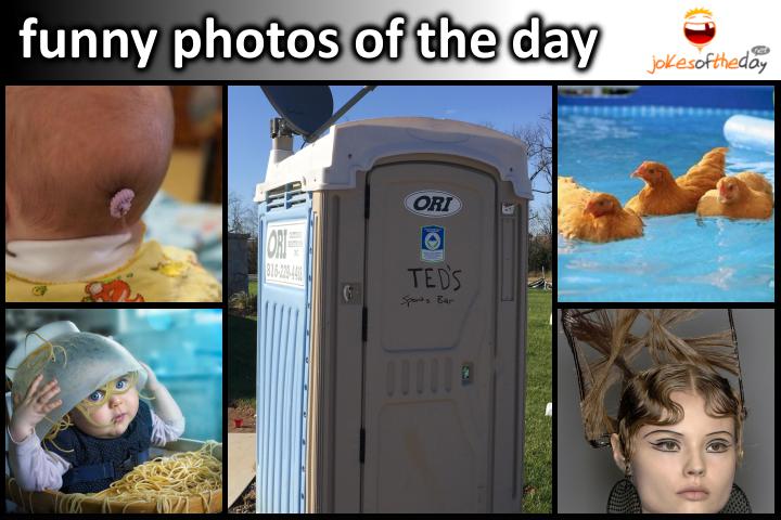 Funny photos - collection of funny photos of the day (411 to 415 ...