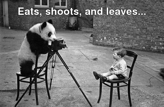 Joke for Thursday, 18 December 2014 from site Florida Dude - The Panda