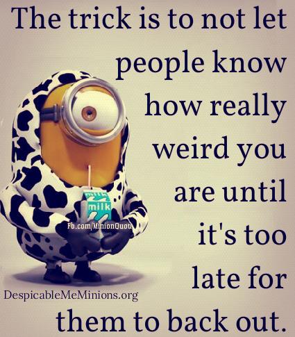 The trick | Jokes of the day (49339)