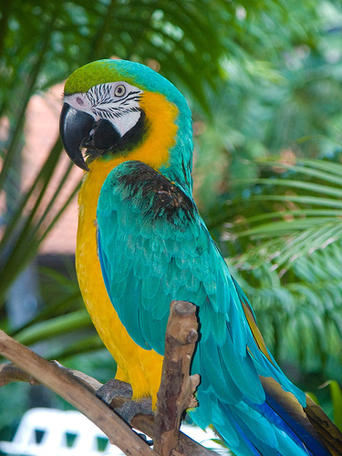 The Auction | Jokes of the day (54665)