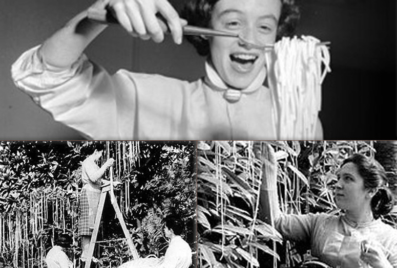 The # 1 April Fools Prank of All Time - The Swiss Spaghetti Harvest ...