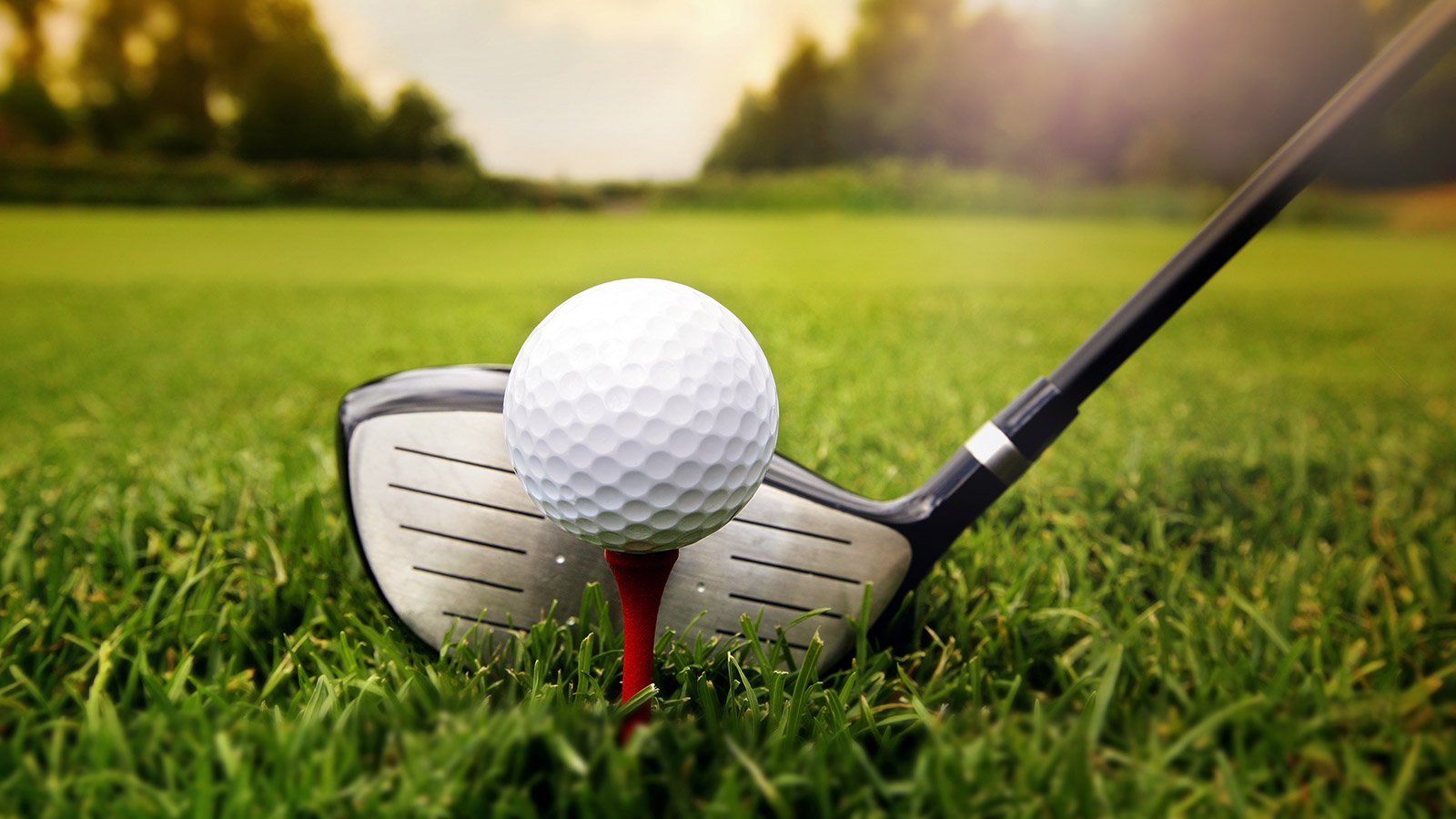 A golfer, who was known for hi... | Jokes of the day (58461)