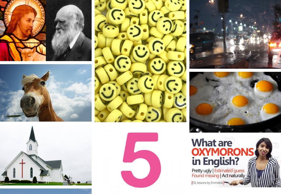 Jokes of the day for Sunday, 04 February 2024 | Jokes of the day