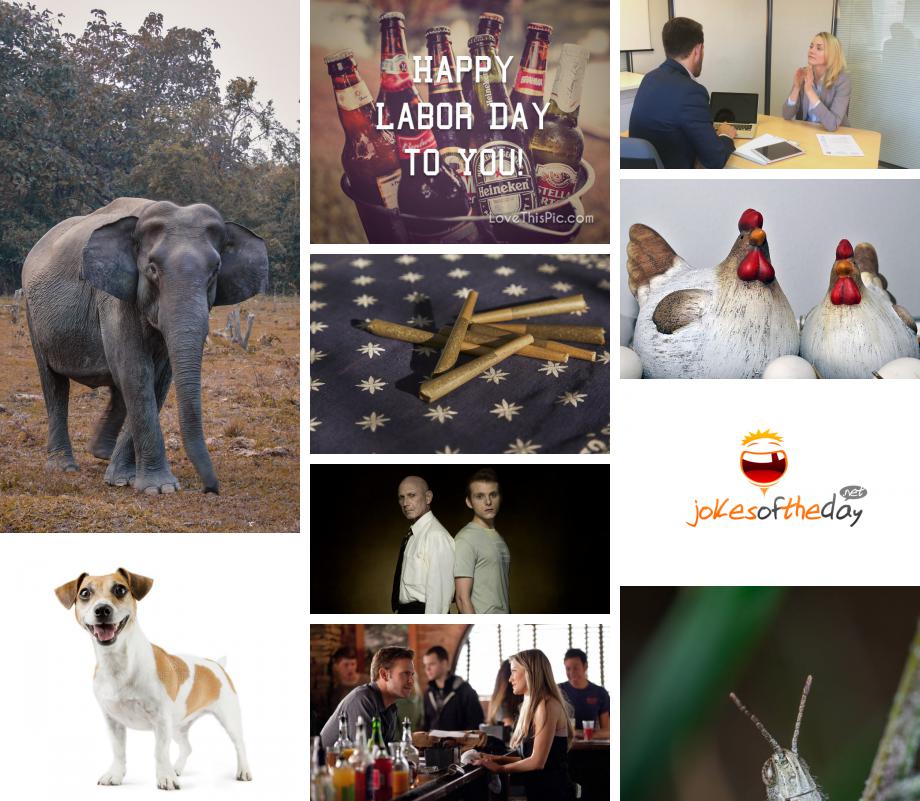 Jokes of the day for Wednesday, 24 April 2024 | Jokes of the day