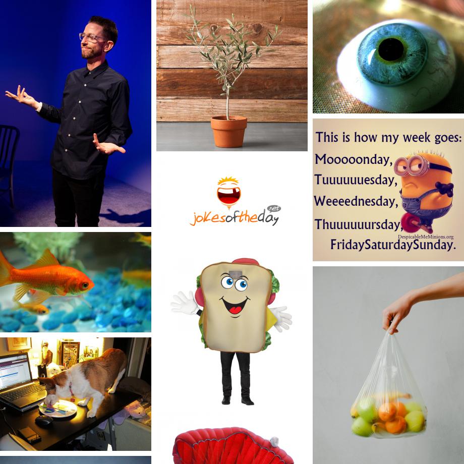 Jokes of the day for Friday, 12 July 2024 | Jokes of the day