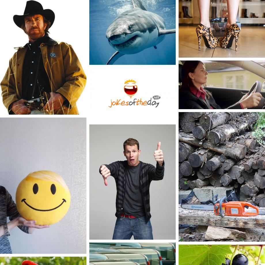 Jokes of the day for Saturday, 13 July 2024 | Jokes of the day