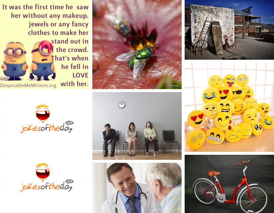 Jokes of the day for Friday, 04 October 2024 | Jokes of the day