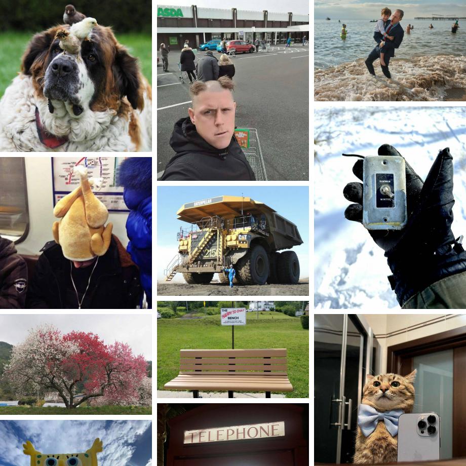 Slideshow #105 | Jokes of the day