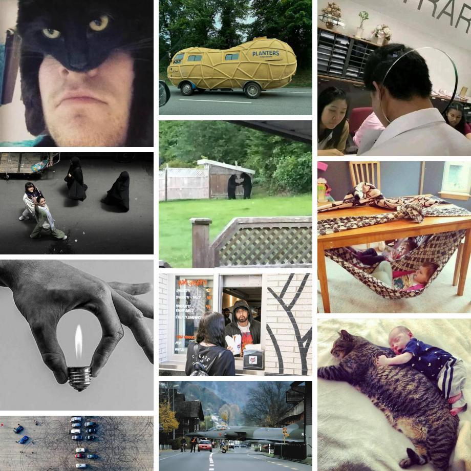 Slideshow #195 | Jokes of the day