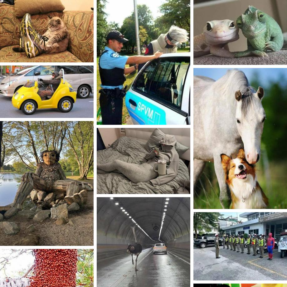 Slideshow #225 | Jokes of the day