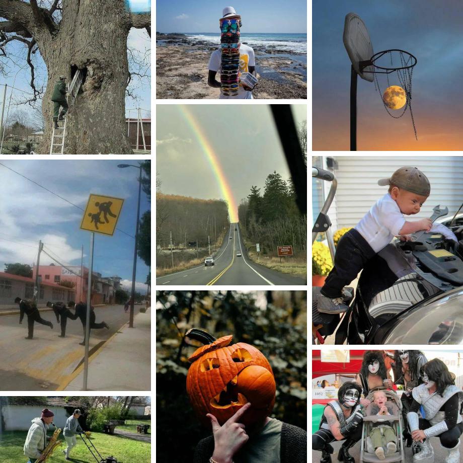 Slideshow #234 | Jokes of the day