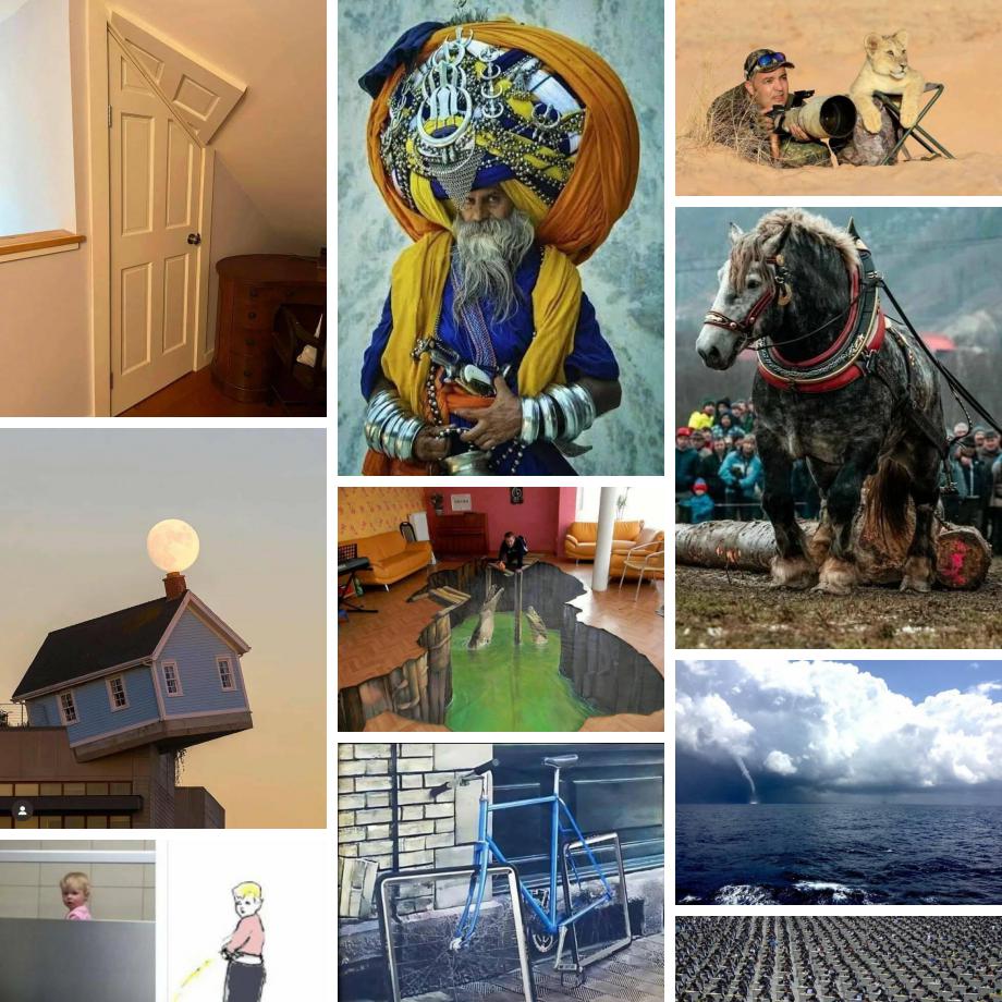 Slideshow #249 | Jokes of the day